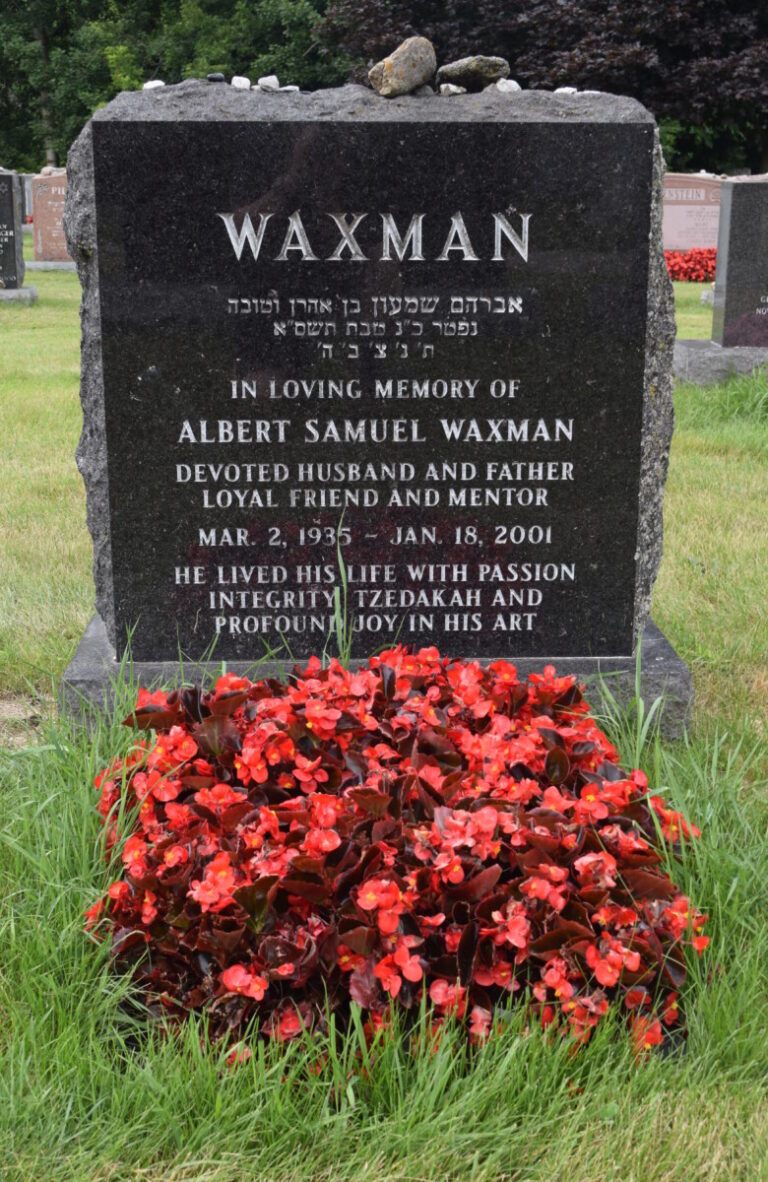 They called him the King – Al Waxman, Canada’s other King – Canadian ...